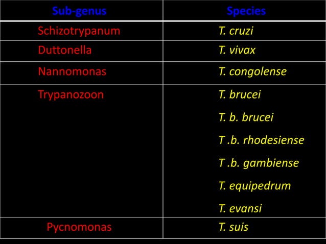 Trypanosomiasis | PDF | Africa Travel | Travel Locations