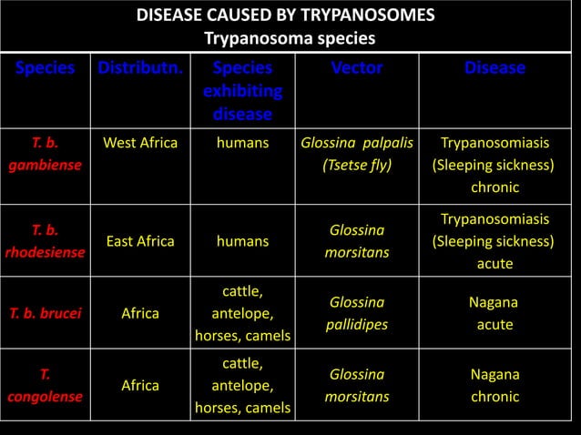 Trypanosomiasis | PDF | Africa Travel | Travel Locations
