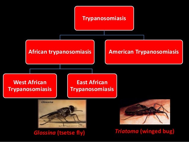 Trypanosomiasis