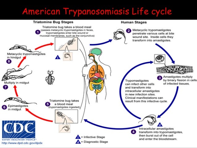 Trypanosomiasis