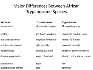 Trypanosomiasis, Sleeping sickness disease of Africa | PDF