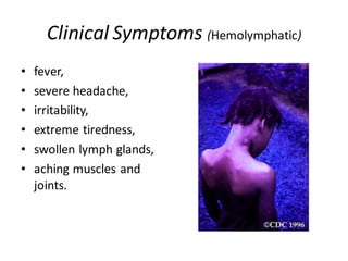 Trypanosomiasis, Sleeping sickness disease of Africa | PDF