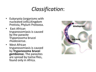 Trypanosomiasis, Sleeping sickness disease of Africa | PDF