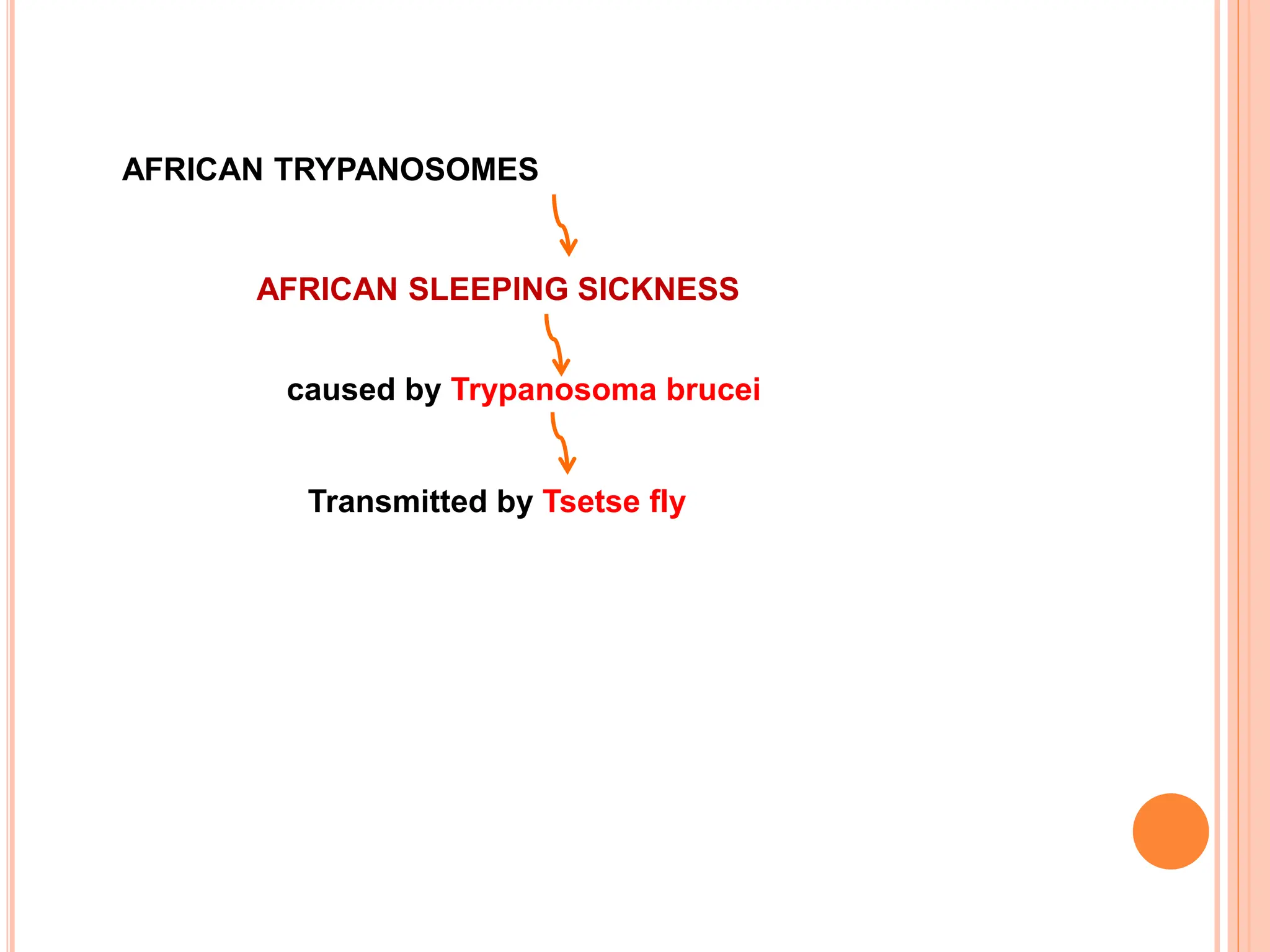 TRYPANOSOMIASIS microbiology lab investigation and investigation.pptx