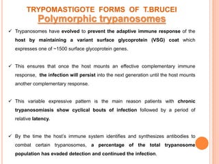 TRYPANOSOMIASIS microbiology lab investigation and investigation.pptx