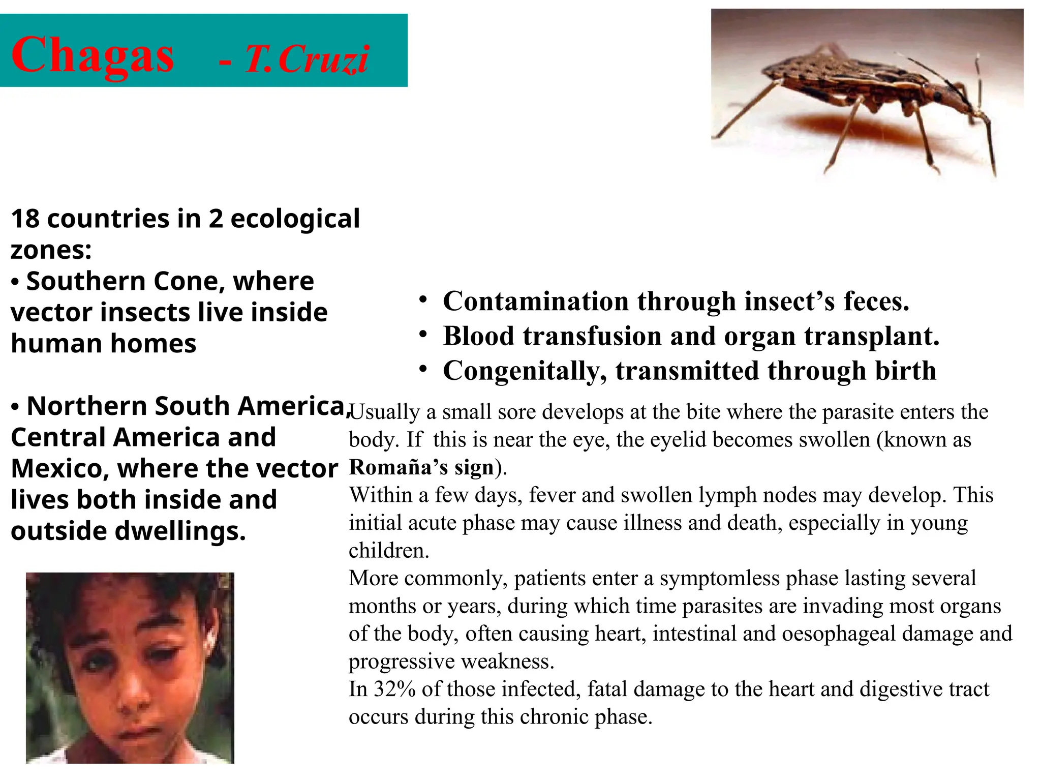 Understanding Trypanosomiasis and causes | PPT