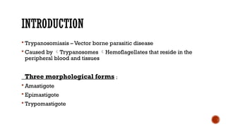 trypanosomivvvbbvvbnnbfccnnbbbasis (1).pptx