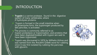 Trypsin including sources, extraction, purification and applications | PPT