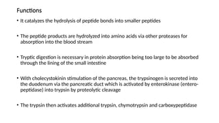 Trypsin and gastric function tests in laboratory.pptx
