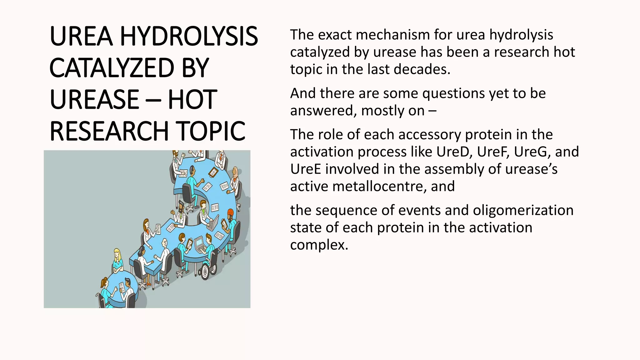 Trypsin, chymotripsin & urease | PDF