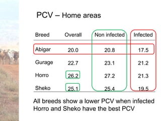 Trypanotolerance and phenotypic characteristics of four Ethiopian ...