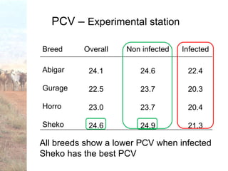 Trypanotolerance and phenotypic characteristics of four Ethiopian ...