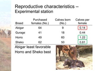 Trypanotolerance and phenotypic characteristics of four Ethiopian ...
