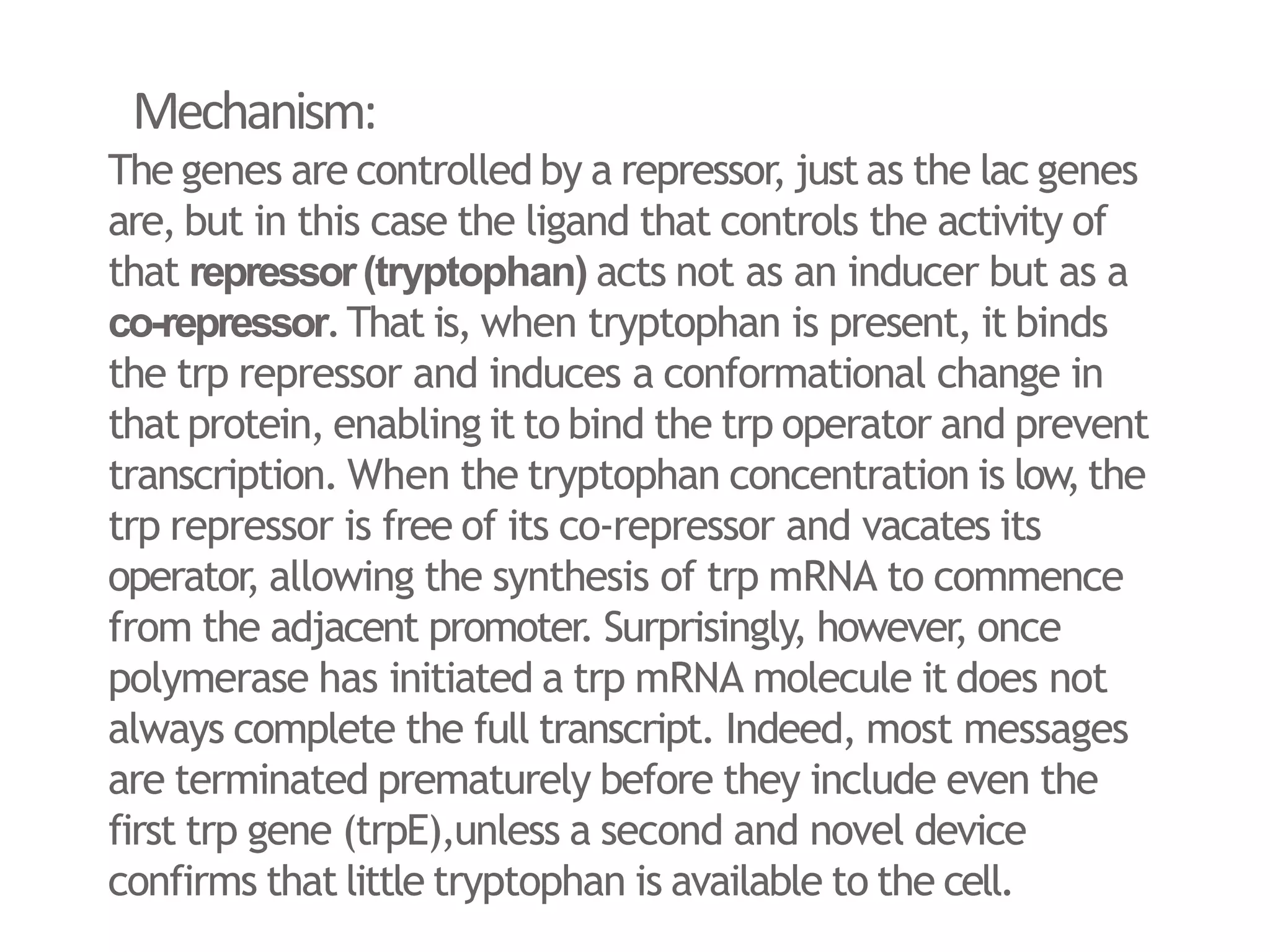 Tryptophan Operon GP 102.pptx | Chemistry | Science