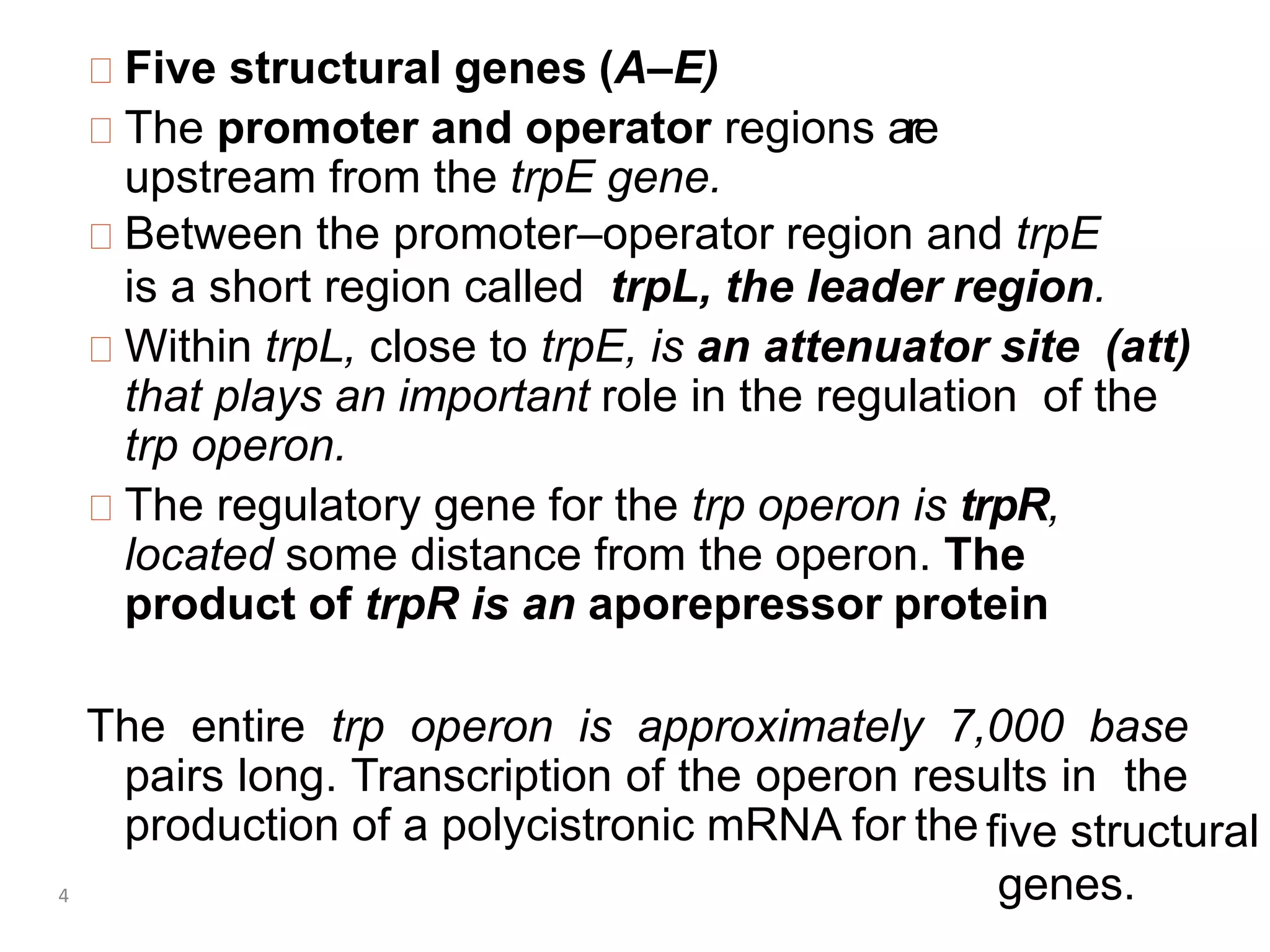 Tryptophan Operon GP 102.pptx | Chemistry | Science