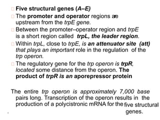 Tryptophan Operon GP 102.pptx | Chemistry | Science