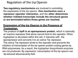 Tryptophan Operon GP 102.pptx | Chemistry | Science