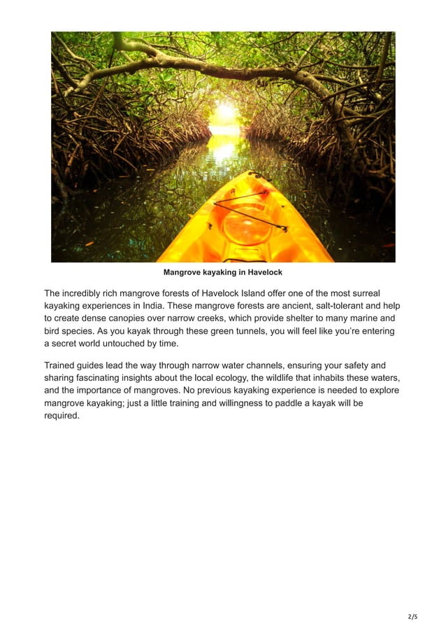 Explore The Best Kayaking in Andaman - Keep Paddling Beyond Waves | PDF