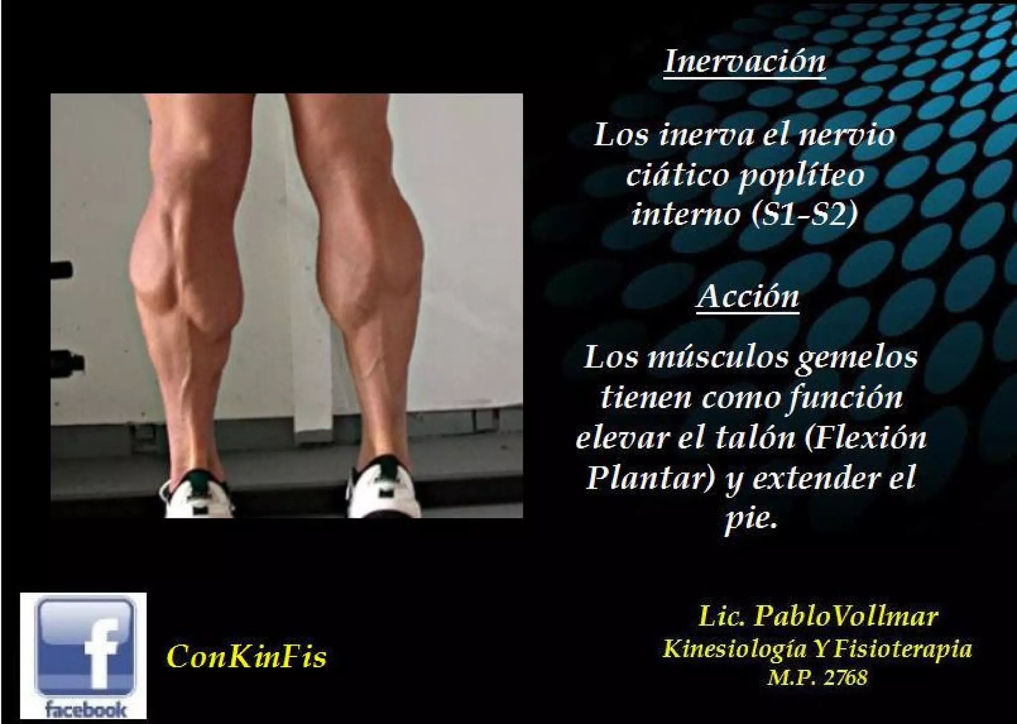 Anatomia del Triceps Sural | PDF