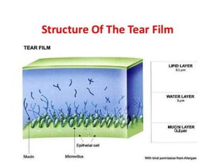 TEAR SUBSTITUTES | PPTX
