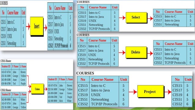 database | POTX | Databases | Computer Software and Applications