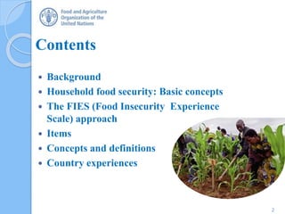 Census Theme 11- Household Food Seurity | PPTX