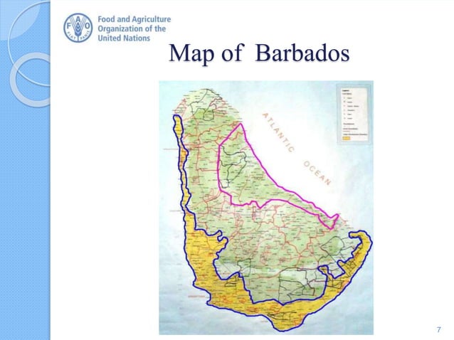 Barbados Presentation | PPT
