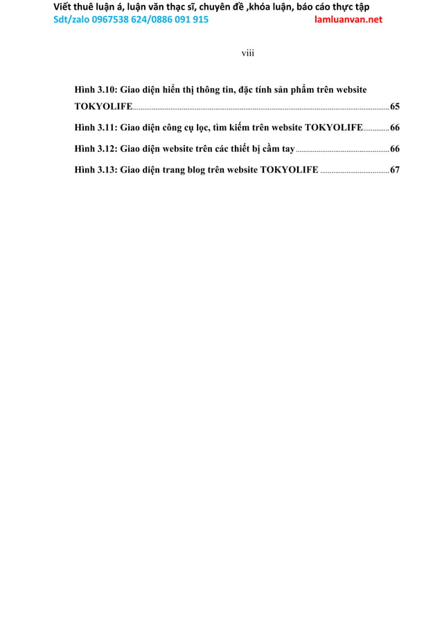 ỨNG DỤNG TRUYỀN THÔNG SỐ (DIGITAL MARKETING) NHẰM ĐẨY MẠNH HOẠT ĐỘNG KINH DOANH BÁN LẺ THỜI ...