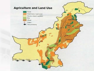 Pakistan: Crops | PPTX