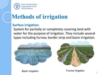 Census Theme 3 - Irrigation | PPTX
