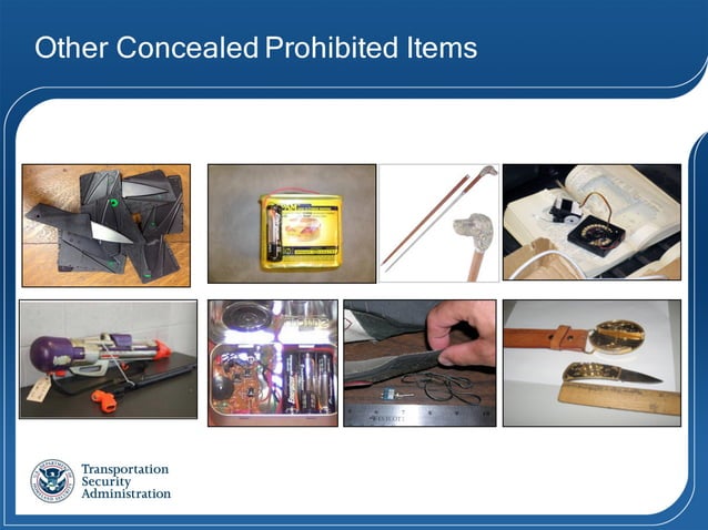 Transportation Security Administration "TSA 101" | PDF