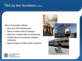 Transportation Security Administration "TSA 101" | PDF