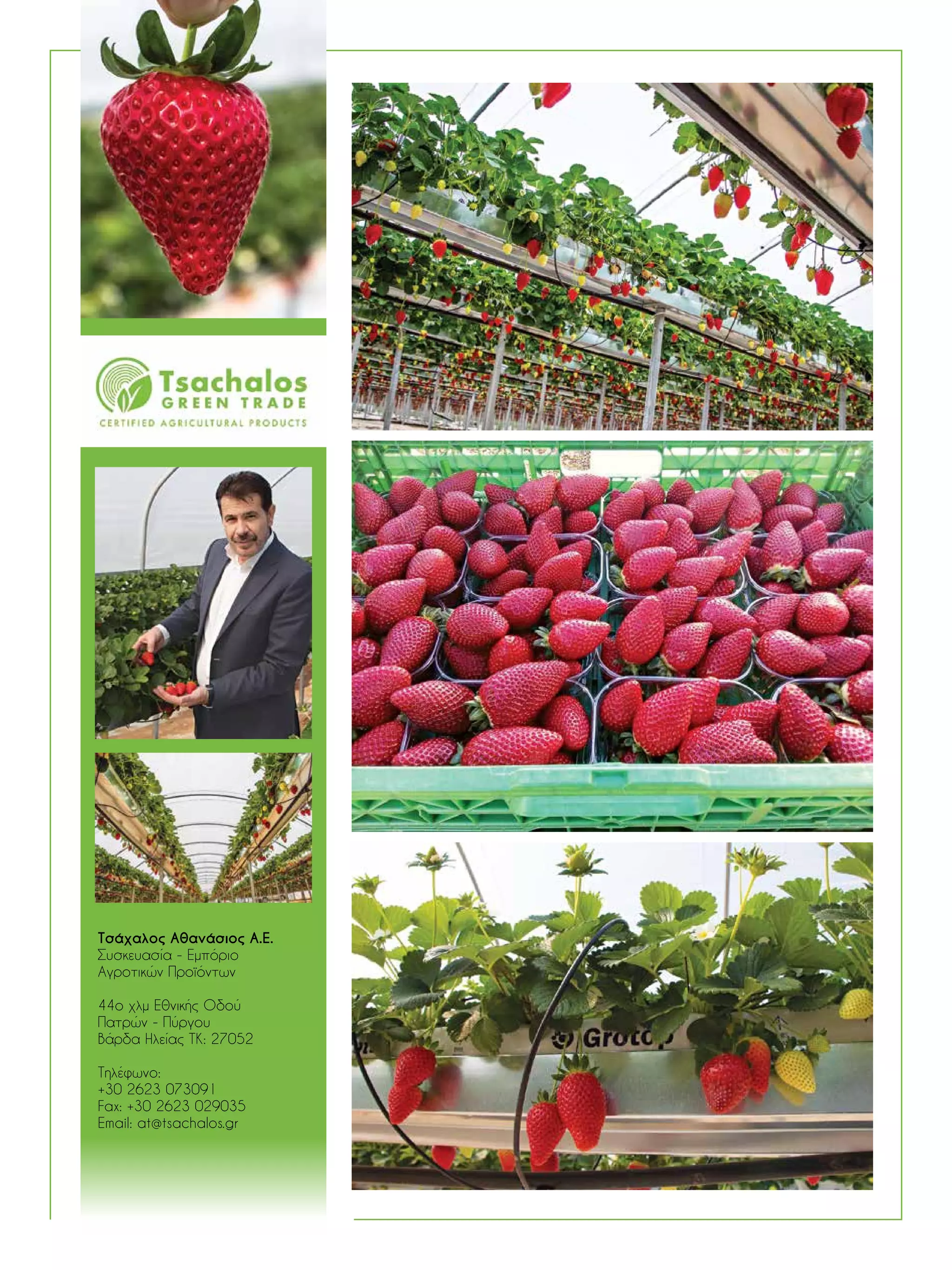 Tsachalos Green Trade_ Agricola | PDF
