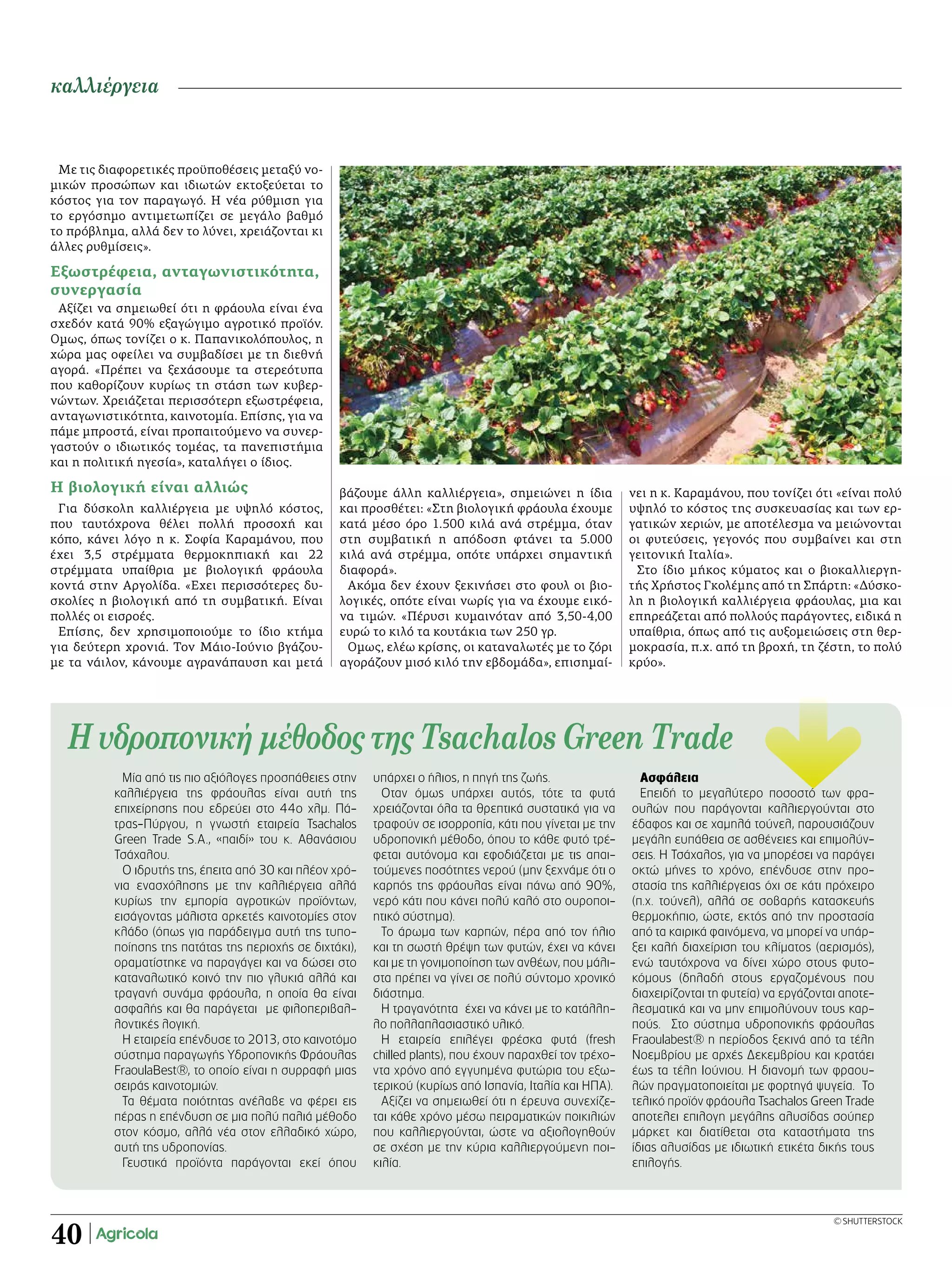 Tsachalos Green Trade_ Agricola | PDF