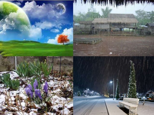 Tsag agaar 7 angi p | PPTX