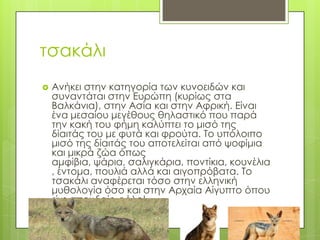Tsakali | PPT