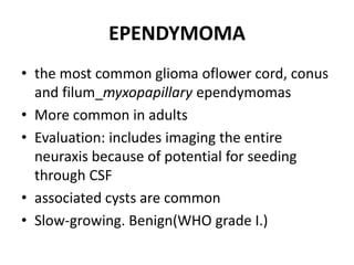 Tumor of spine and spinal cord | PPTX | Cancer | Diseases and Conditions