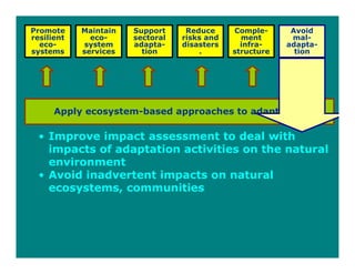 Trevor Sandwith (TNC) - Ecosystem-based approaches to mitigation and adaptation at landscape and ...