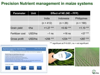 Maize intensification in major production regions of the world | PDF