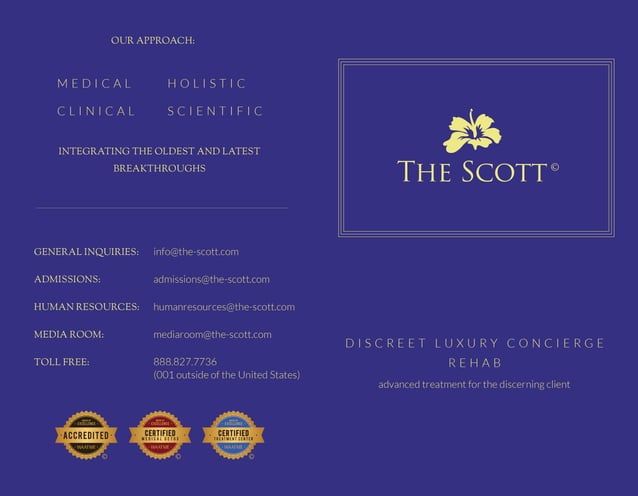 Private Luxury Rehab Worldwide -- The Scott© | PDF