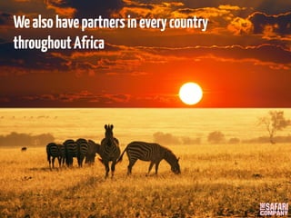 Presentation for PPG | PDF