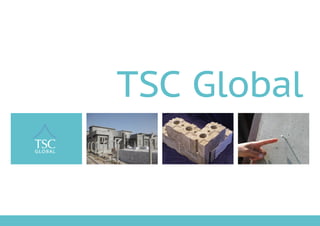 TSCG Brochure | PDF | Construction Industry | Industries