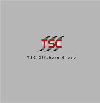 TSC Offshore Group 2009 | PDF | Advertising Industry | Industries