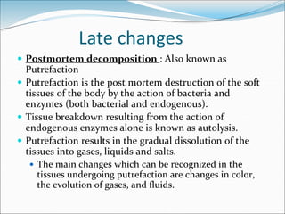 Estimation of Time since death | PPT
