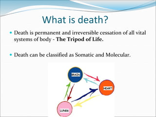 Estimation of Time since death | PPT