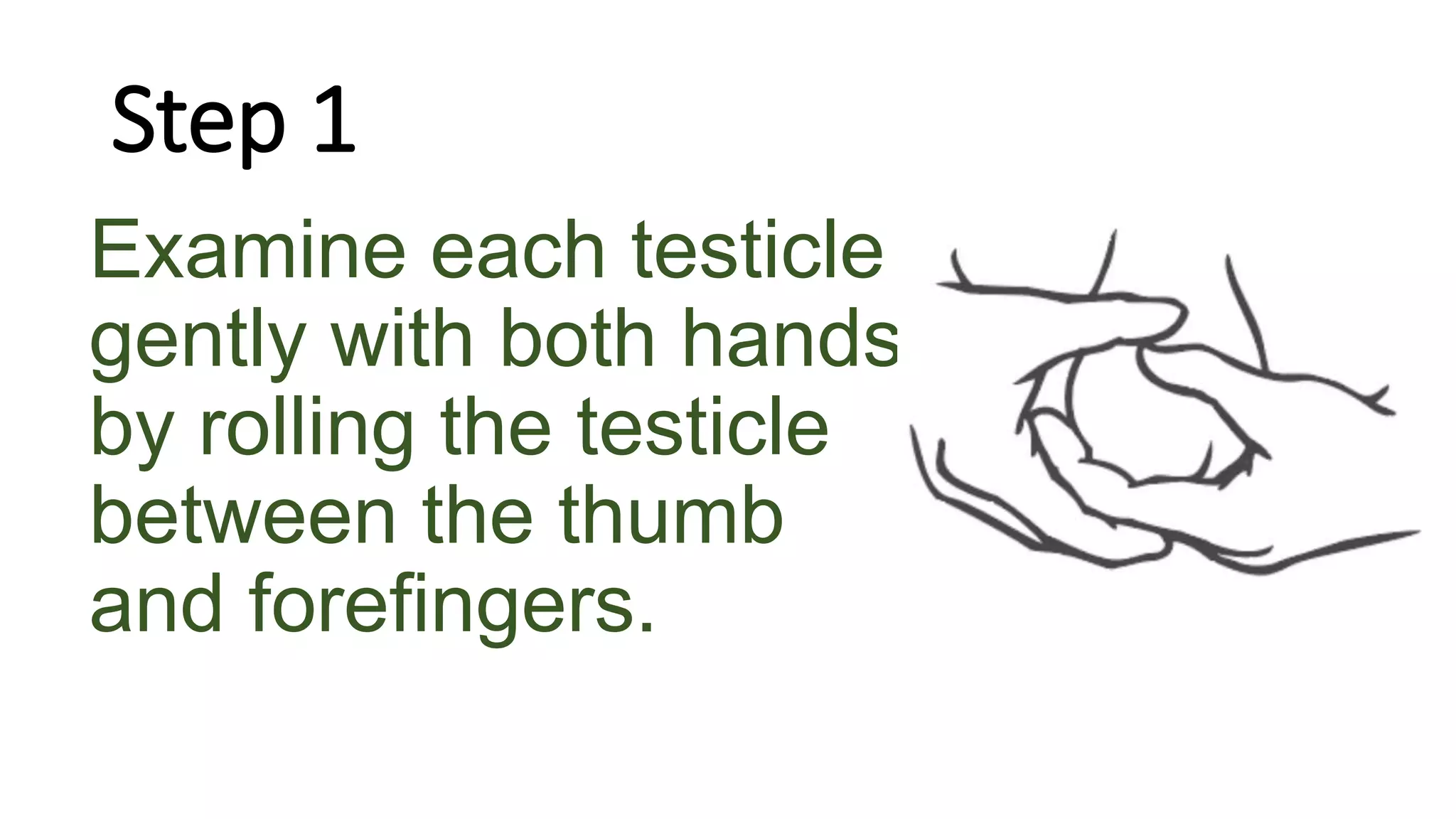 Testicular Self Examination | PPTX