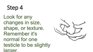 Testicular Self Examination | PPTX