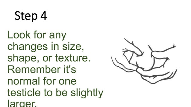 Testicular Self Examination | PPTX