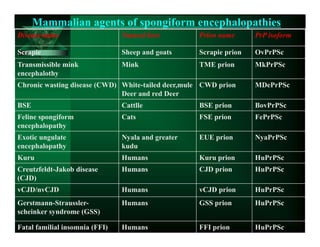TSE BSE Mad cow Disease | PDF