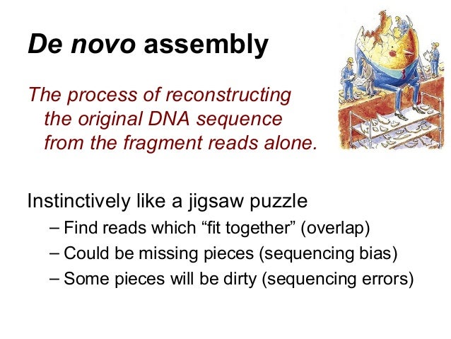 De novo genome assembly - IMB Winter School - 7 July 2015